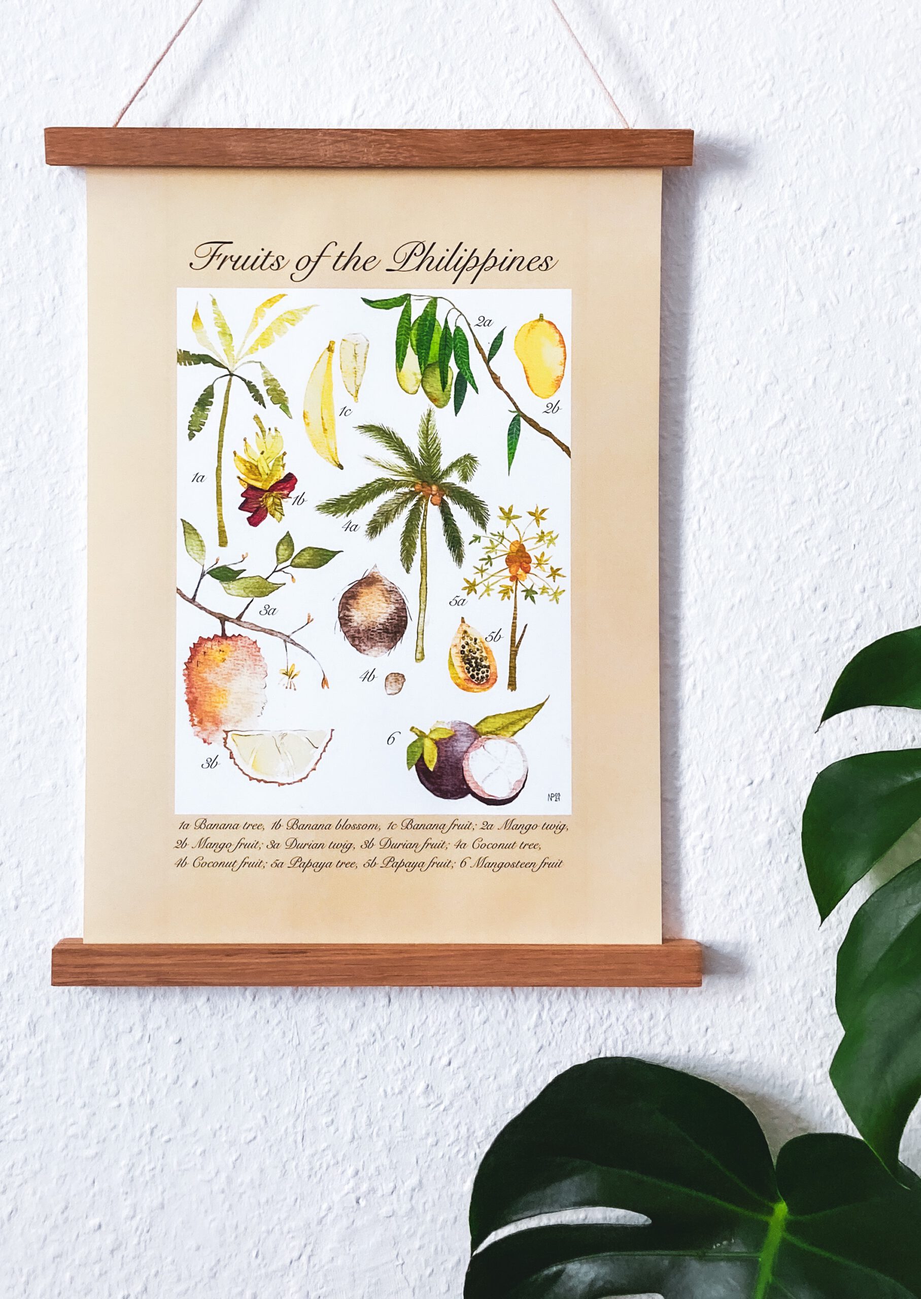 Watercolour - Vintage Fruit Chart - NP